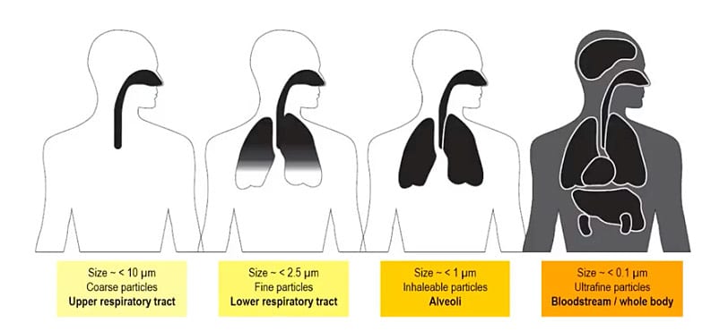 Particulate Matter and Your Health